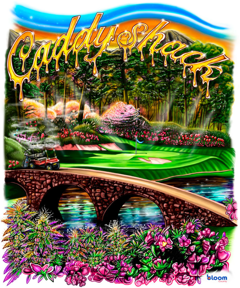 Bloom County: Colorado’s Home Town Cannabis Retailer – We pride ...