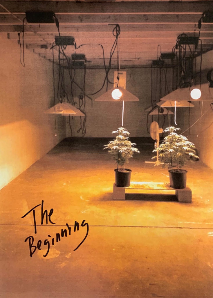 Bloom County: Colorado’s Home Town Cannabis Retailer – We pride ...